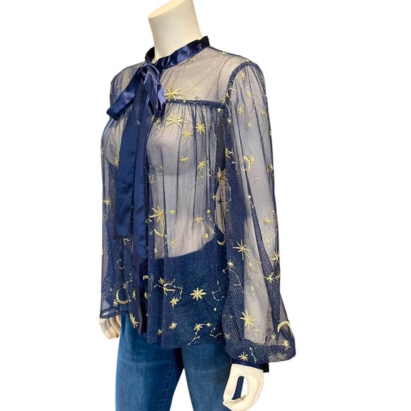 Endless Rose | Tops | New Embroidered Constellation Sheer Chiffon And ...